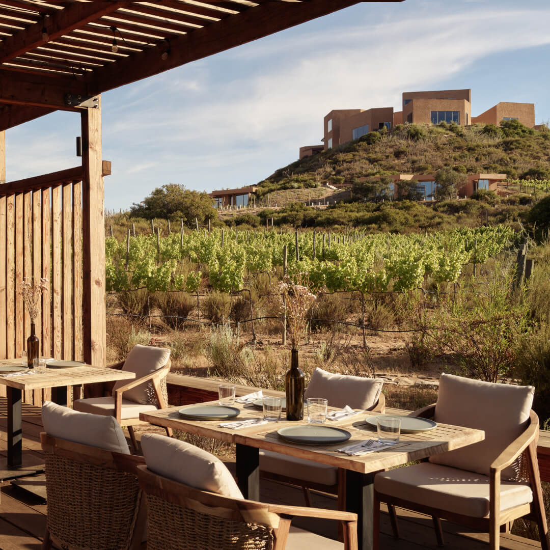 Banyan Tree Veya - La Ruta+