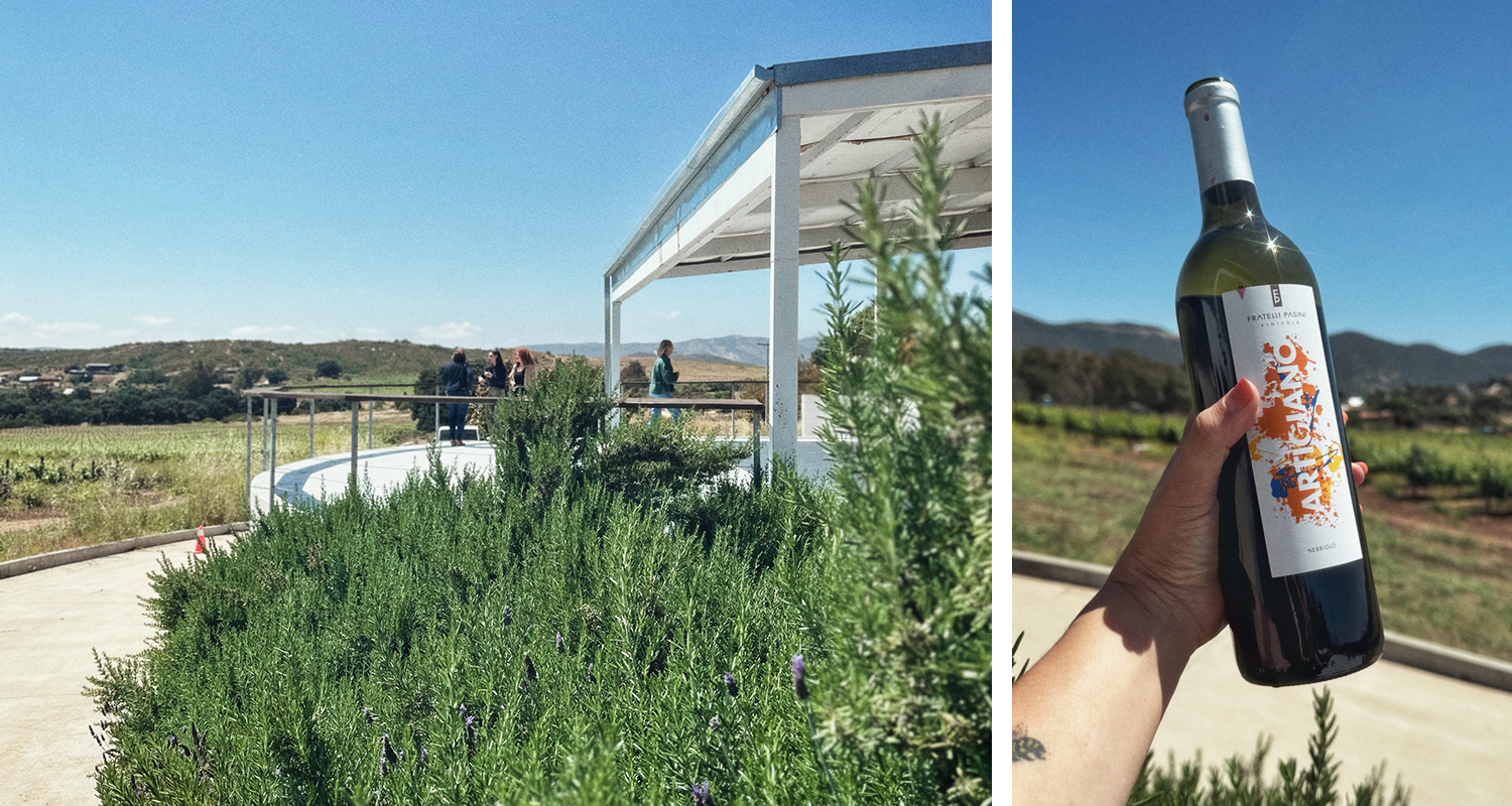 Los nuevos favoritos de temporada - La Ruta+